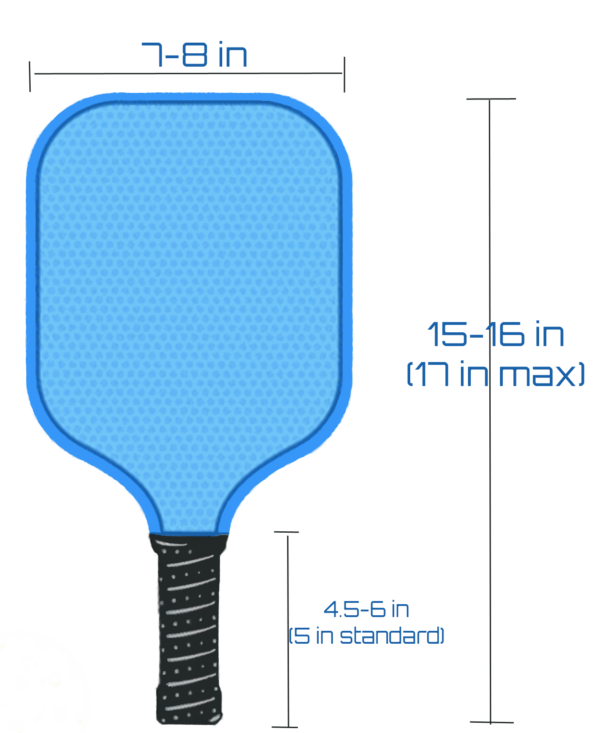 The Pickleball Paddle Explained | Pickleball Fever | MOMUS